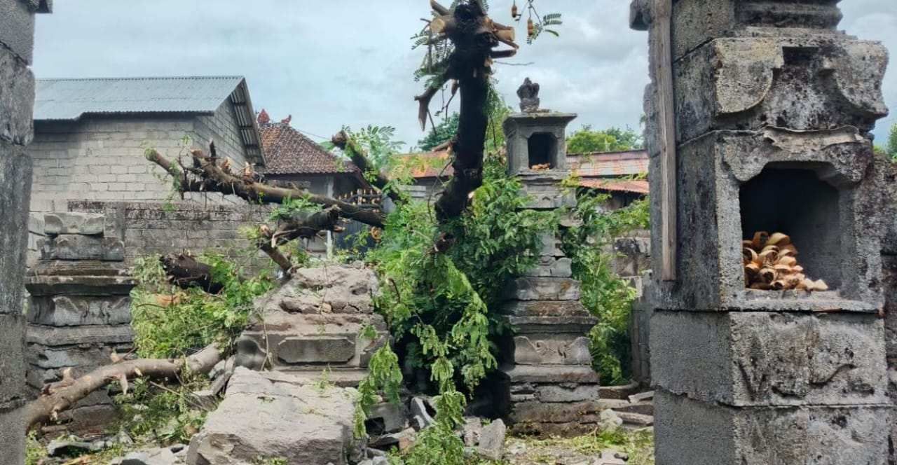 Merajan Warga Tulamben Rusak Parah Tertimpa Pohon Asem - Bali Portal News